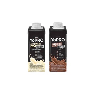 YoPRO 25g Danone - 250ml (unidade) | Shopee Brasil