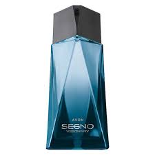 Perfume Segno Visionary Avon masculino 100ml. | Shopee Brasil
