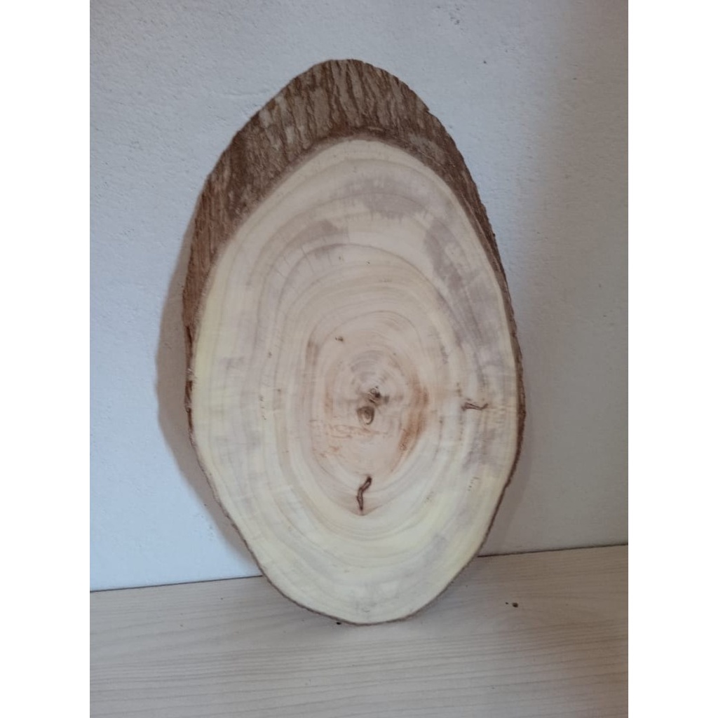 Tora de madeira de 38cm a 50cm cortada na diagonal do tronco | Shopee ...