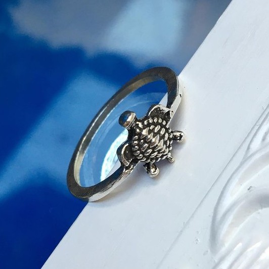 ANEL | Shopee Brasil