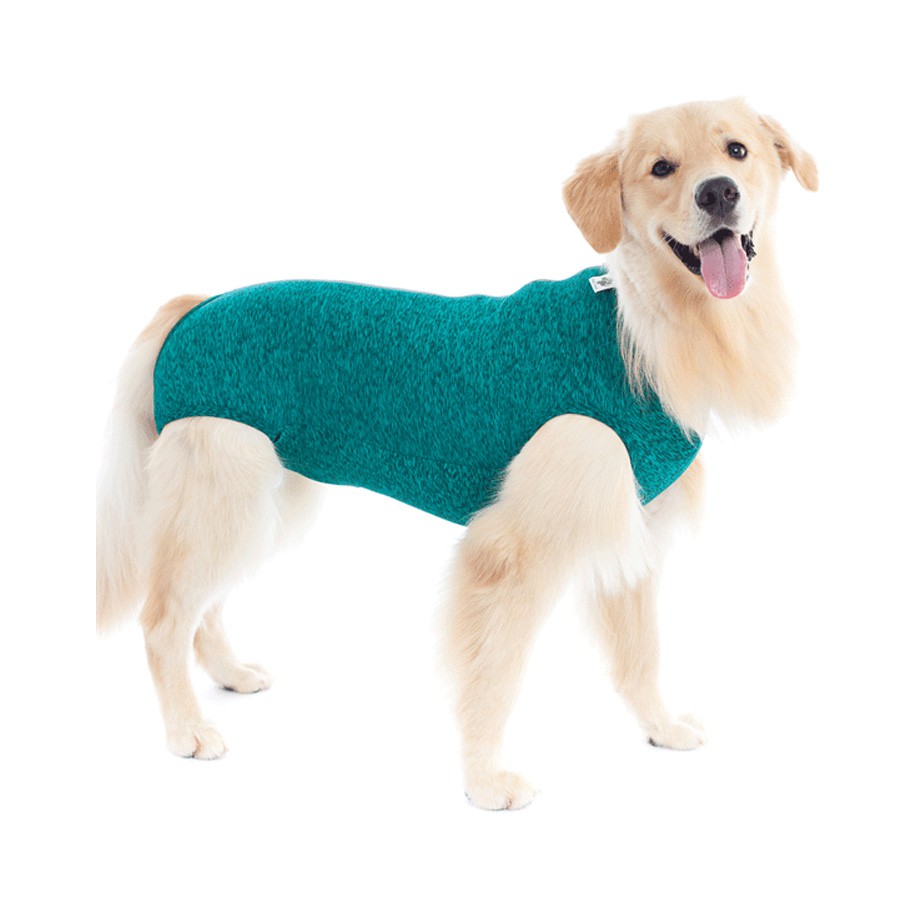 Roupa pós-cirúrgica DollDog Suplex Unissex. | Shopee Brasil