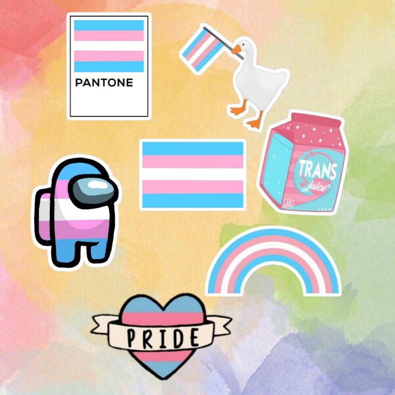 Stickers Trans Pride | Shopee Brasil
