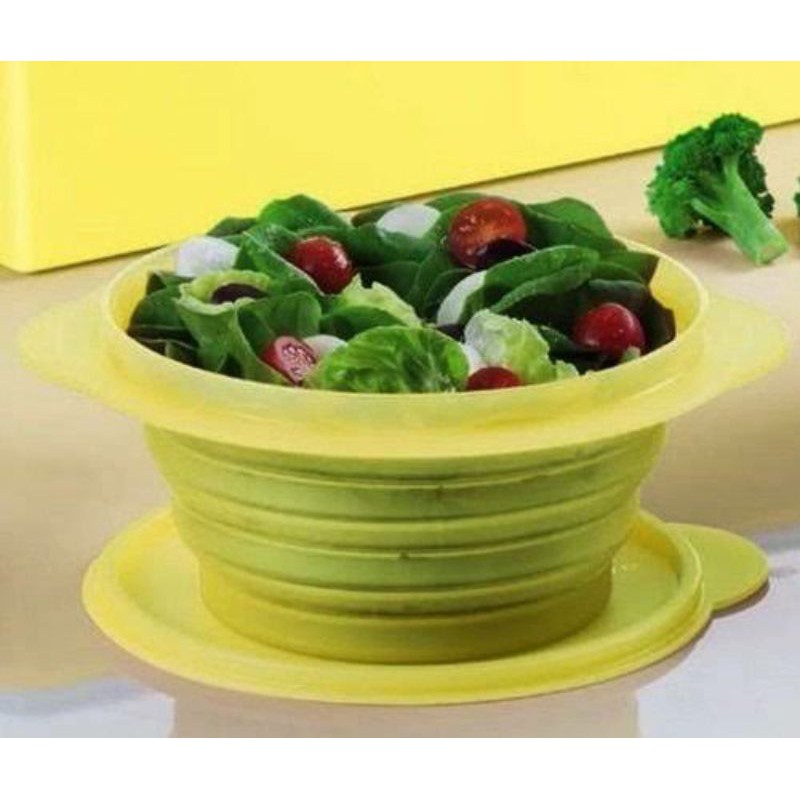 Mini Max tupperware 700 ml. | Shopee Brasil