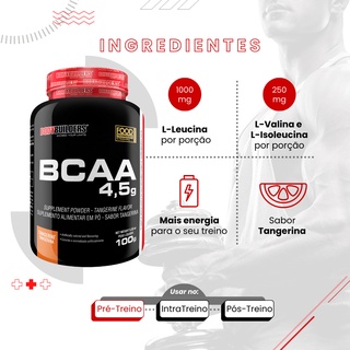 Kit Whey Protein 500g, BCAA 4,5 100g, Power Creatine 100g, Coqueteleira ...