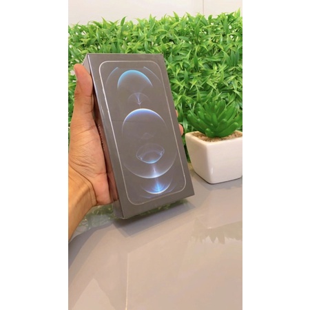 IPHONE 12 PRO MAX | Shopee Brasil