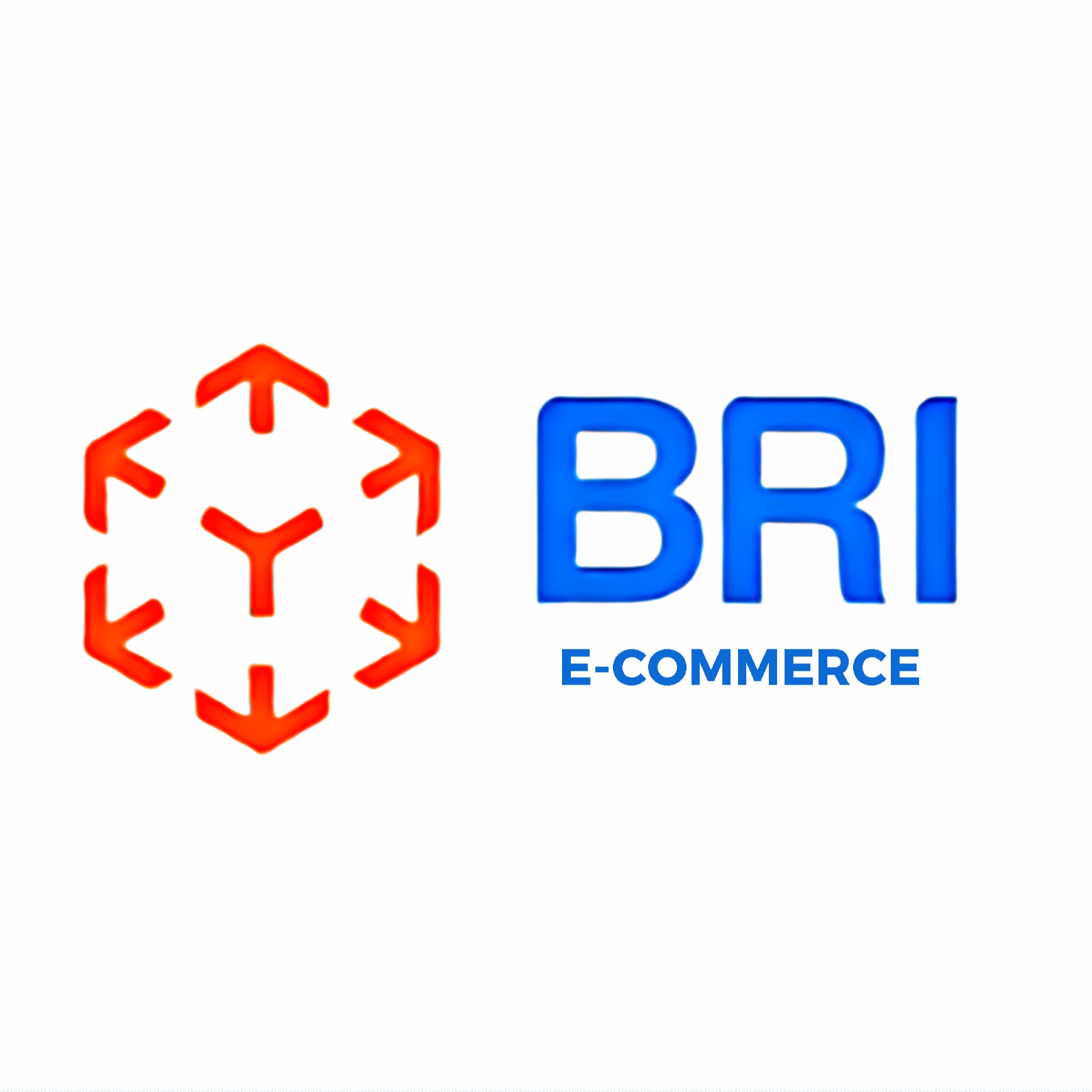 BRI E-COMMERCE, Loja Online | Shopee Brasil