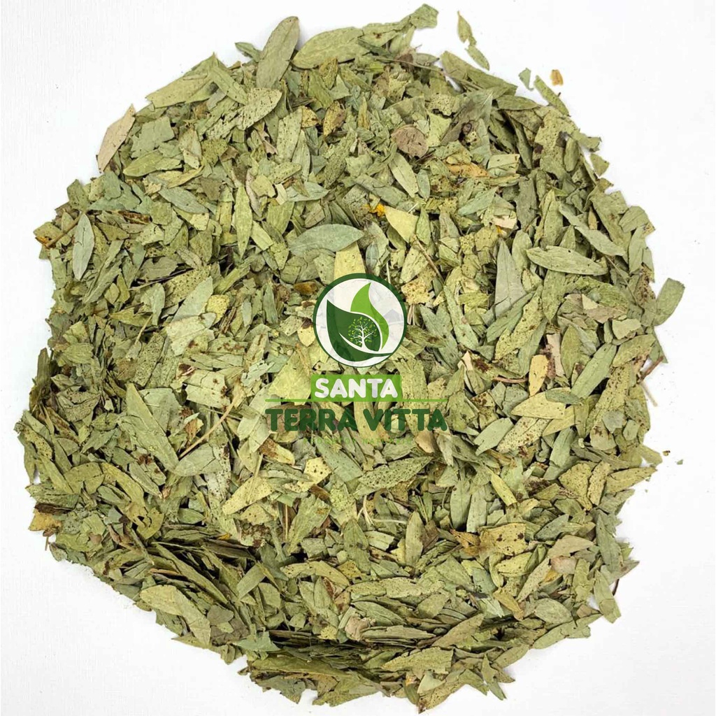Sene Folha - 1Kg - ALTA QUALIDADE | Shopee Brasil