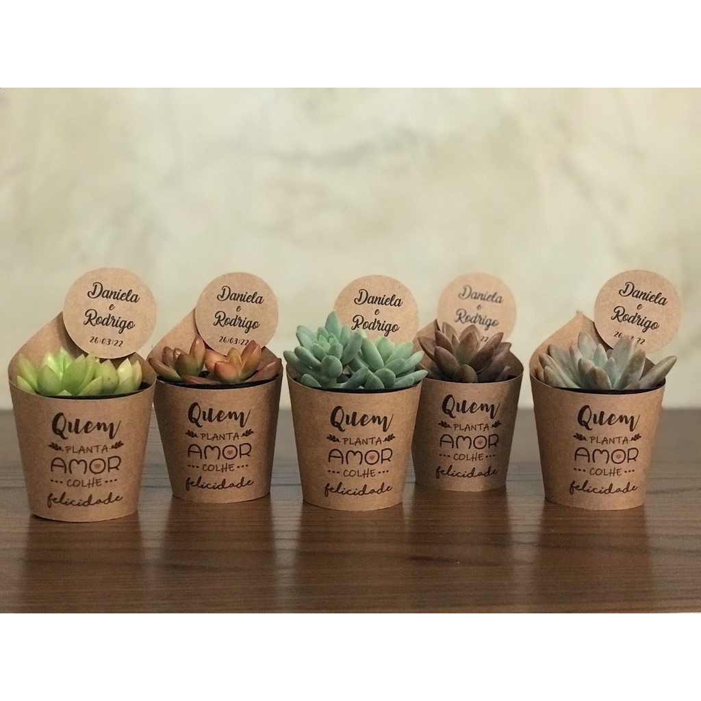 Rótulos Suculentas + Tag Personalizadas - 40 unidades | Shopee Brasil