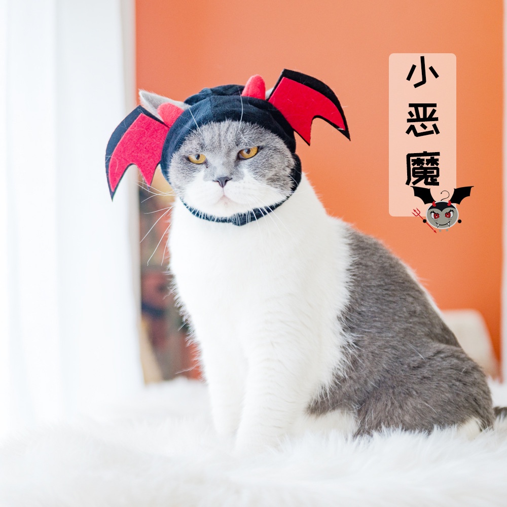 Ready Stock 】 Cat Capacete De Cabeça Panda Drag Hat Chapéu De Arrasto ...