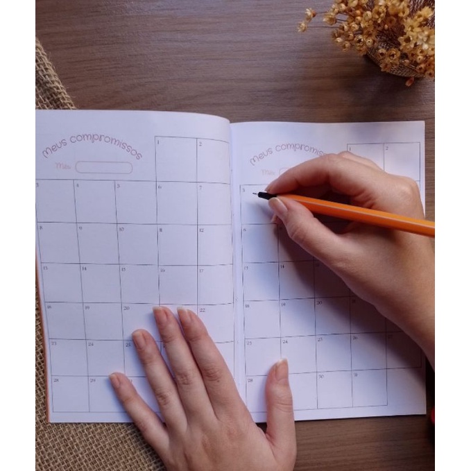 Kit Planner Mensal + Brochura A6 | Shopee Brasil