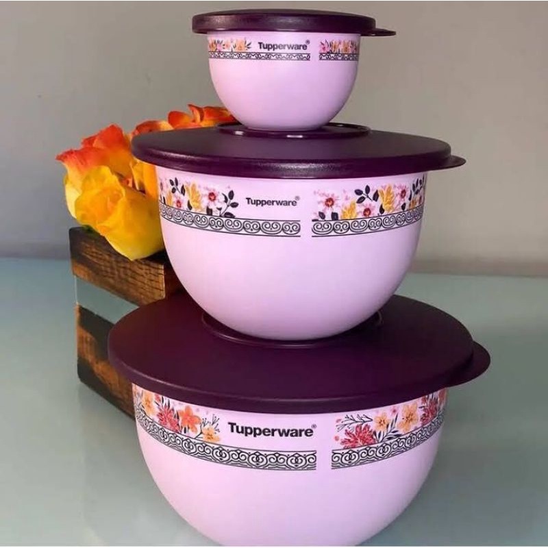 kit 3 peças Murano Tupperware | Shopee Brasil