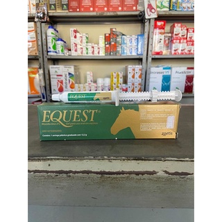 Equest Suplemento Pasta 12,2 G | Shopee Brasil