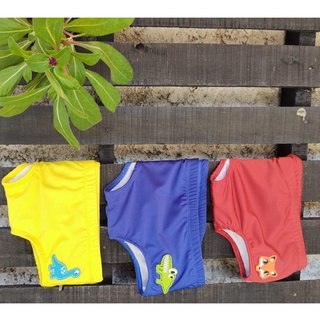 kit 02 Sunga infantil box menino sunguinha cueca praia | Shopee Brasil