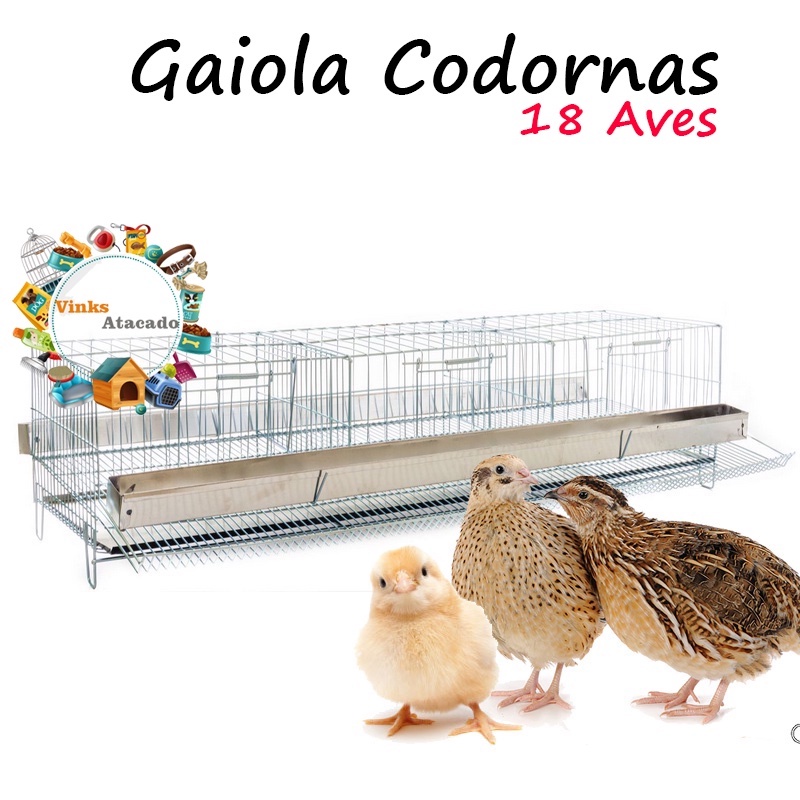 Gaiola Criadeira Para Codornas - Gaiola Comedouro Para Codorna 18 Aves ...