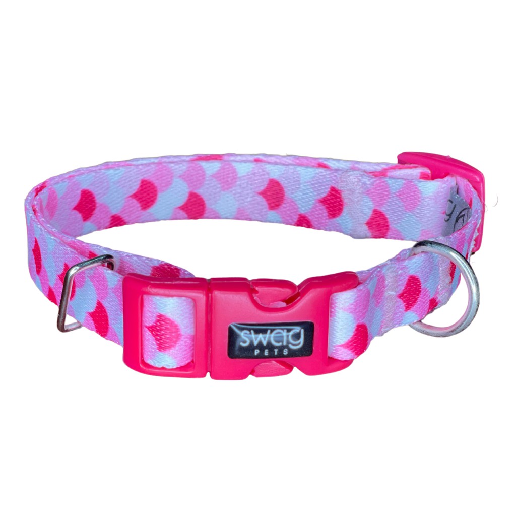 Swag Pets, Loja Online | Shopee Brasil