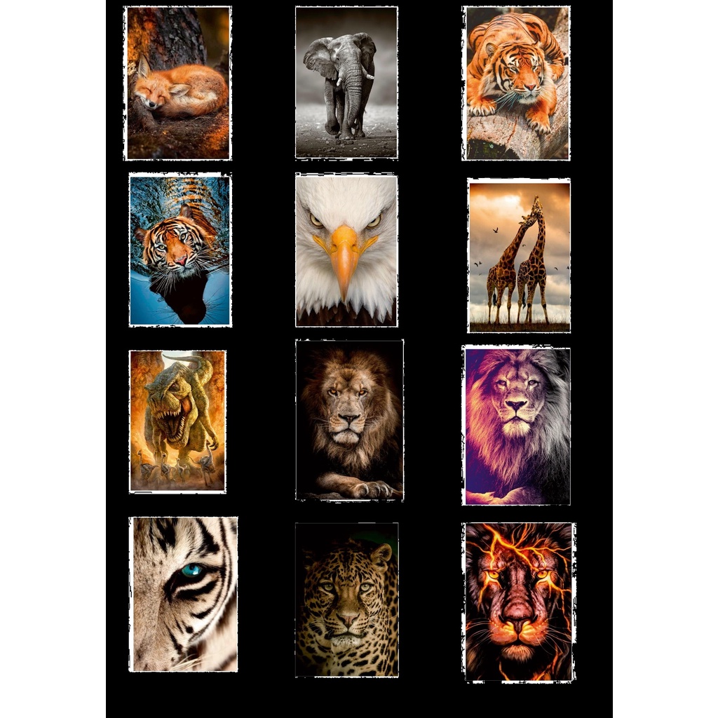 Animais - placas decorativas. | Shopee Brasil
