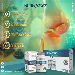 Colágeno Nutrafases, colágeno para cães, suplemento para articulações ...