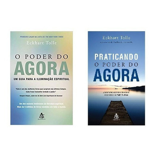 Kit Livros O Poder Do Agora + Praticando O Poder Do Agora | Shopee Brasil