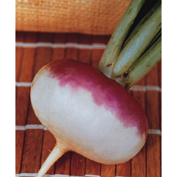 KIT SEMENTES DE NABO JAPONÊS | Shopee Brasil