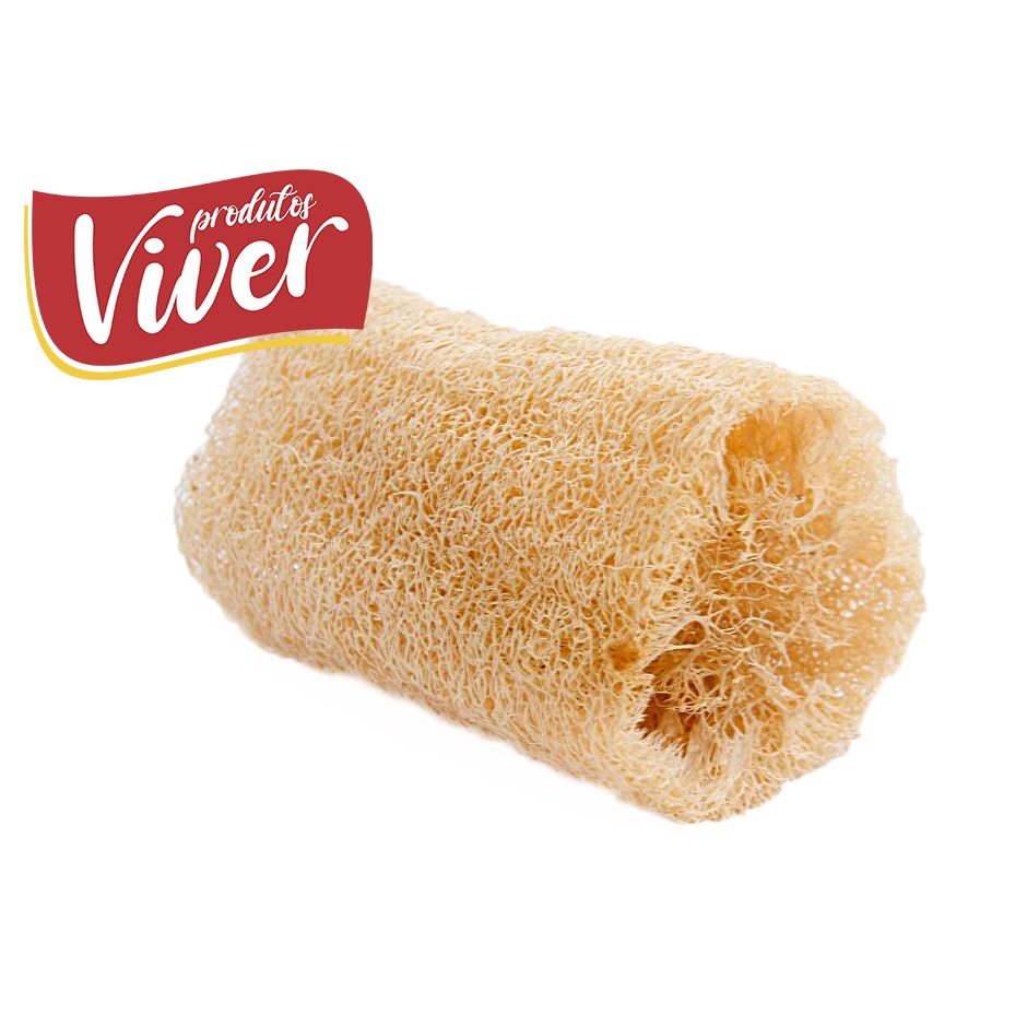 Bucha Vegetal Grande Esponja Tradicional Pedaço - Produtos Viver ...