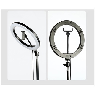 Luz Ring Light 26cm 10 Polegadas Iluminador Led + Tripé 2M Profissional ...