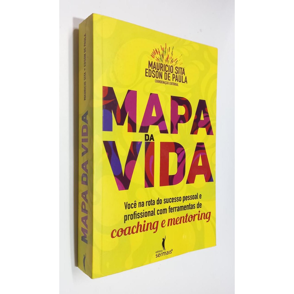 Livro Mapa da vida: você na rota do sucesso pessoal e profissional com ...