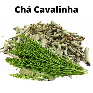 Cavalinha 100Gr (Erva seca para chá ) | Shopee Brasil