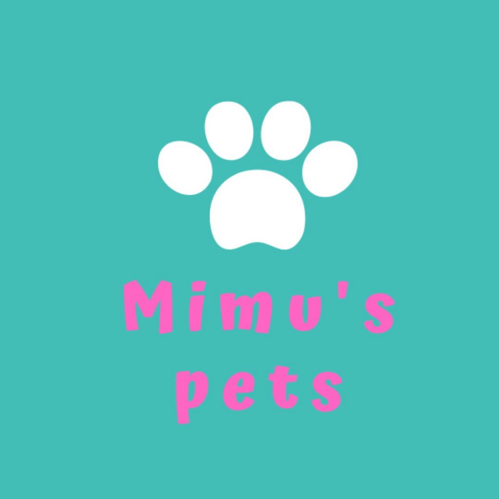 Mimu's pets, Loja Online | Shopee Brasil