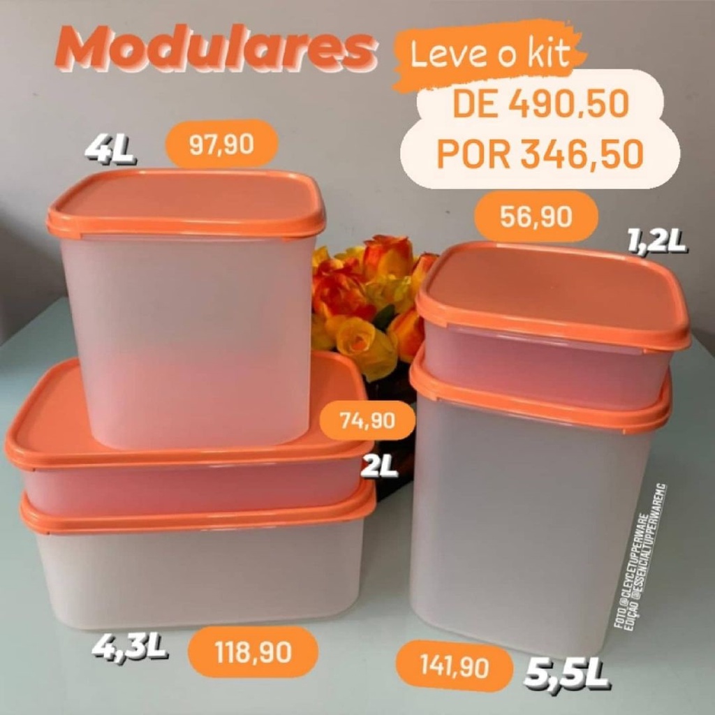 Kit Modular 5 Peças TUPPERWARE® | Shopee Brasil