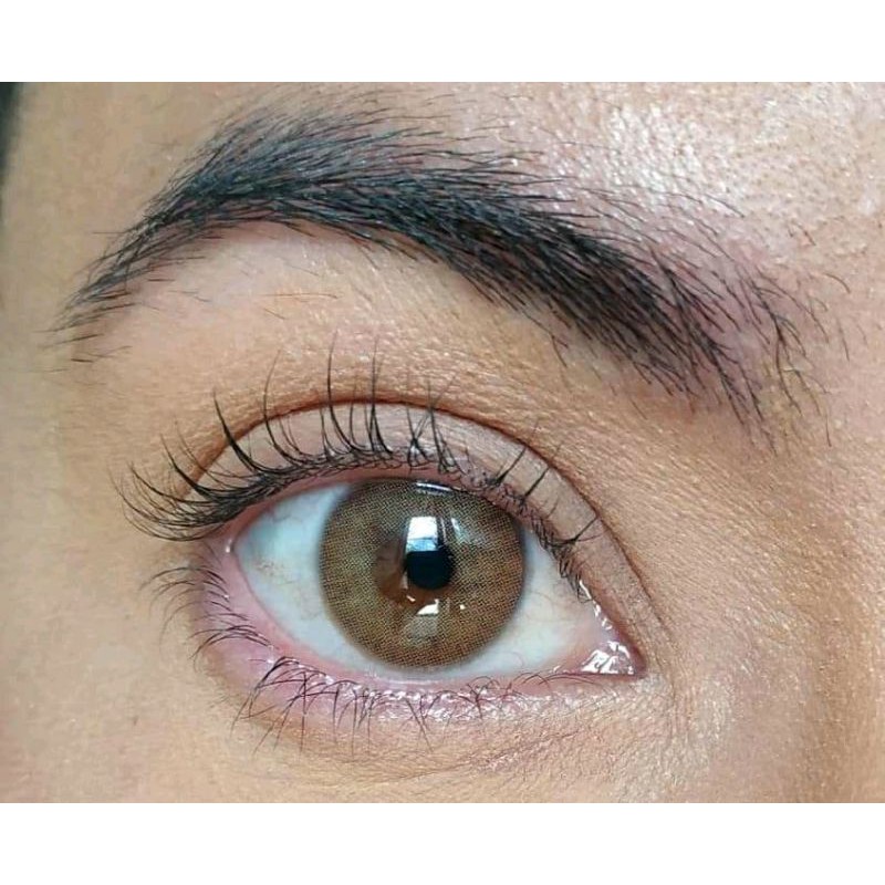 Mini Ava Brown Lente de Contato Coreana Pronta Entrega | Shopee Brasil