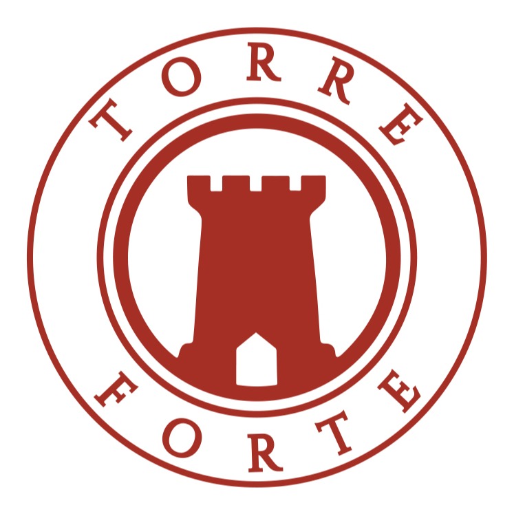 Torre Forte Auto Peças, Loja Online | Shopee Brasil