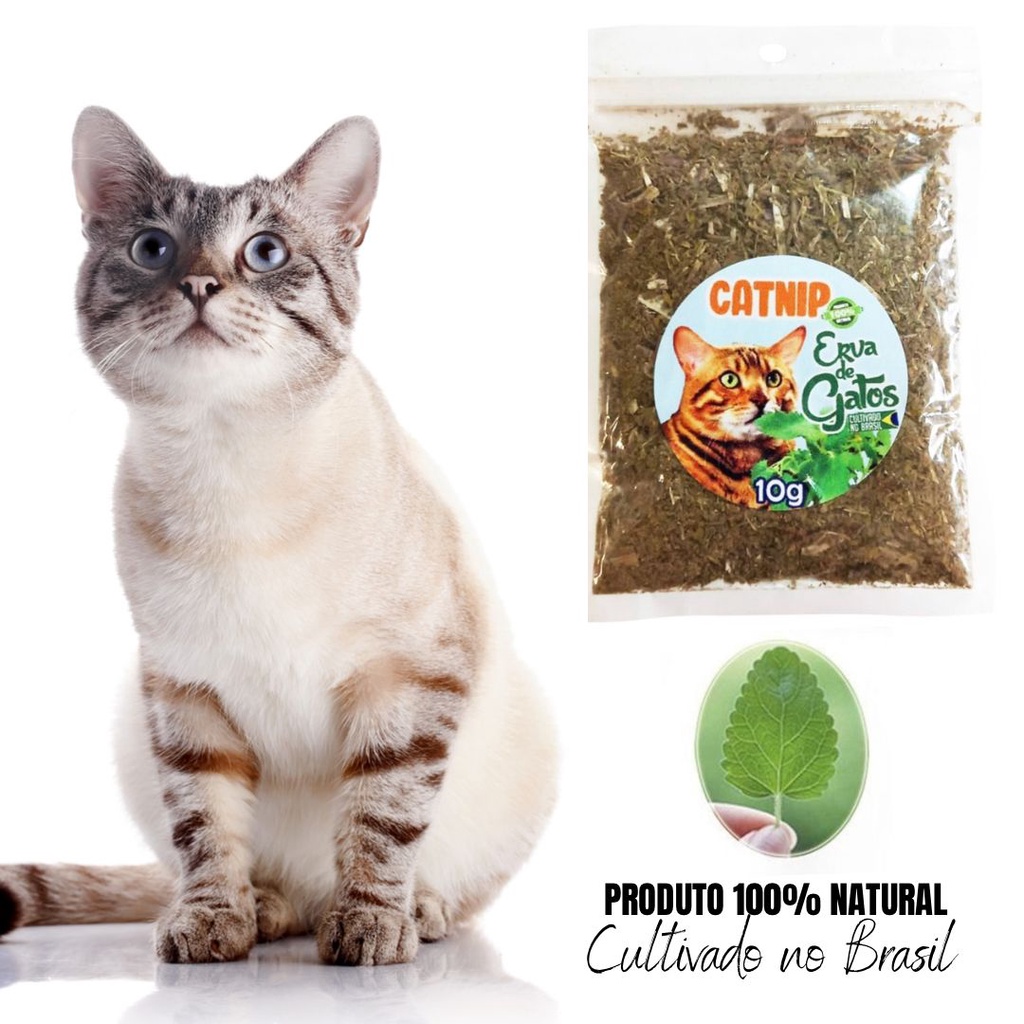 Erva Do Gato Gateira Catnip 10g Desidratado Relaxante | Shopee Brasil
