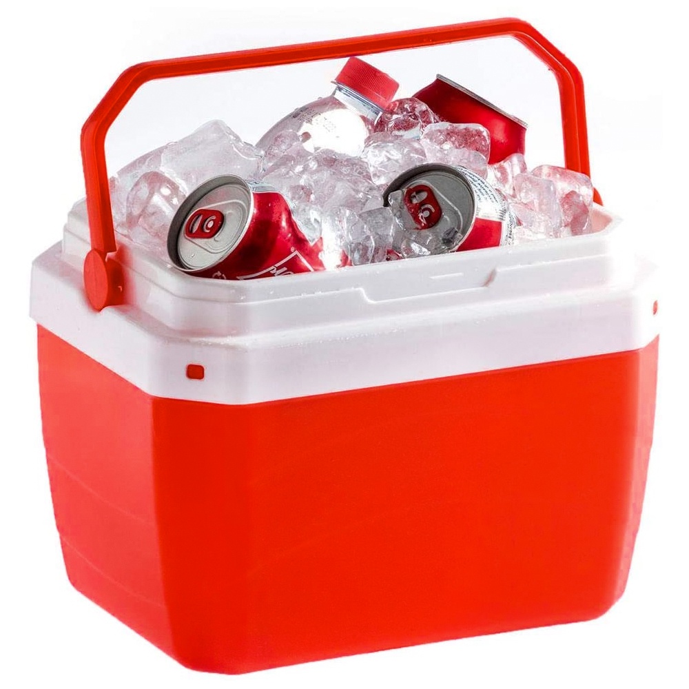 Caixa Termica Cooler 6 Litros 9 Latas Pequena com Alça | Shopee Brasil