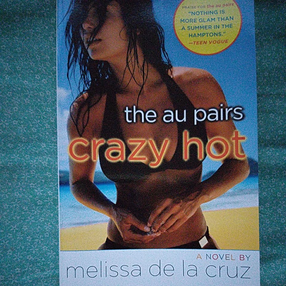 Livro Importado: The Au Pairs Crazy Hot | Shopee Brasil
