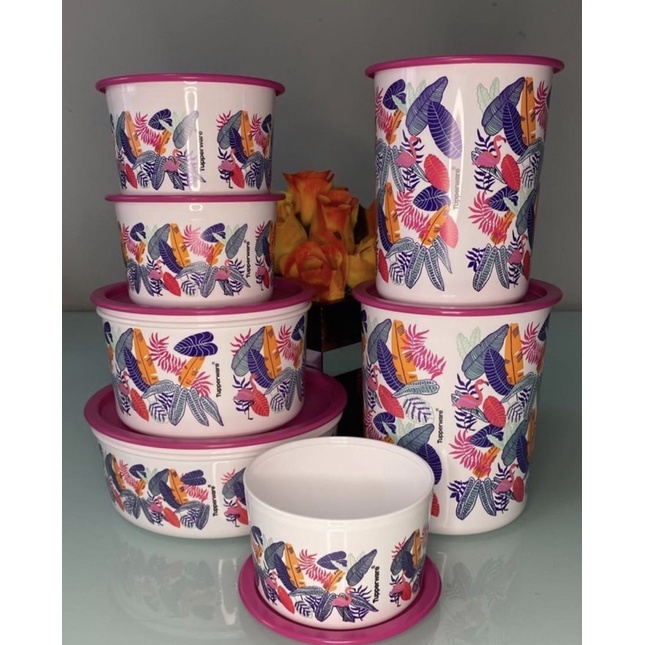 kit Completo Flamingo Tupperware | Shopee Brasil