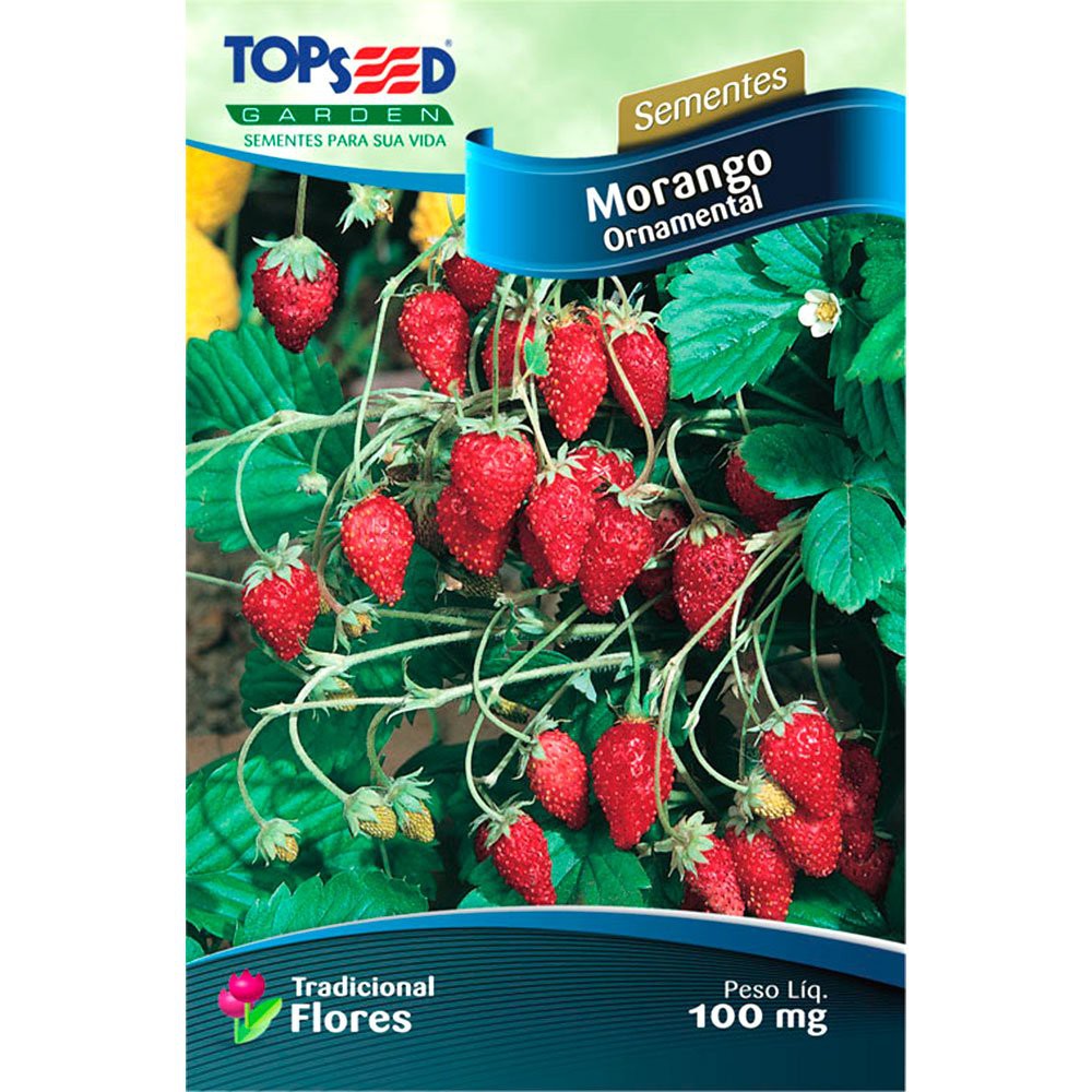 Sementes de Morango Ornamental - Sementes de Frutas Variedades para ...