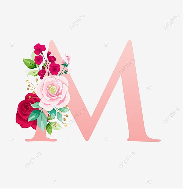 Marisa Rosa Imports, Loja Online | Shopee Brasil