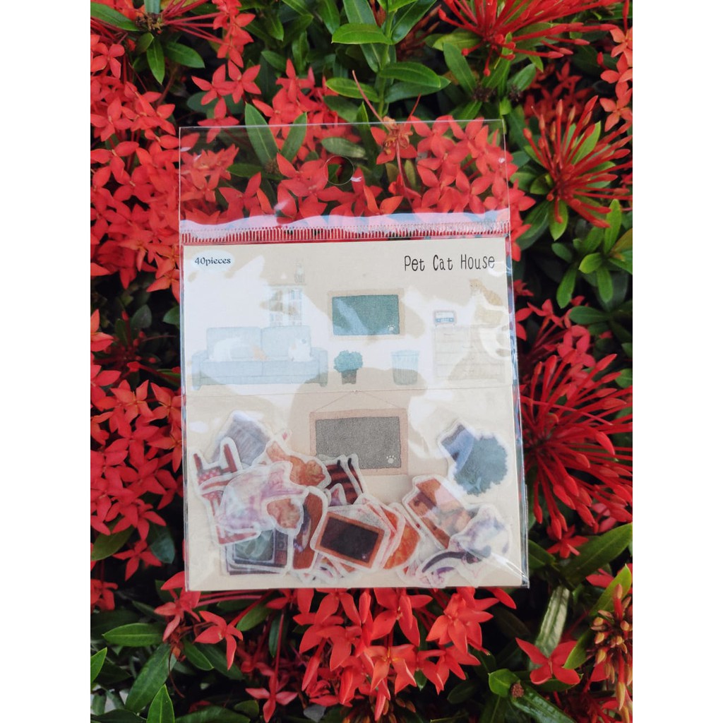 Pack adesivos Pet cat house | Shopee Brasil