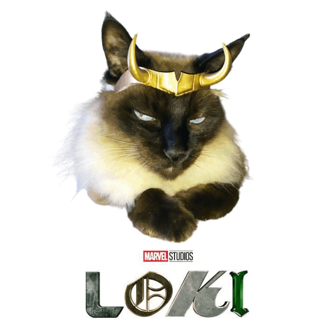 Loki Variante Gato cat tiara do loki para gatos felinos tamanho unico ...