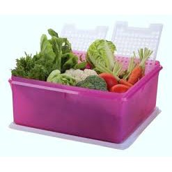 Tupperware Super Caixa 10 Litros Com Grade | Shopee Brasil