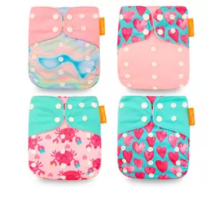 Kit Fraldas Ecológicas Happy Flute | Shopee Brasil