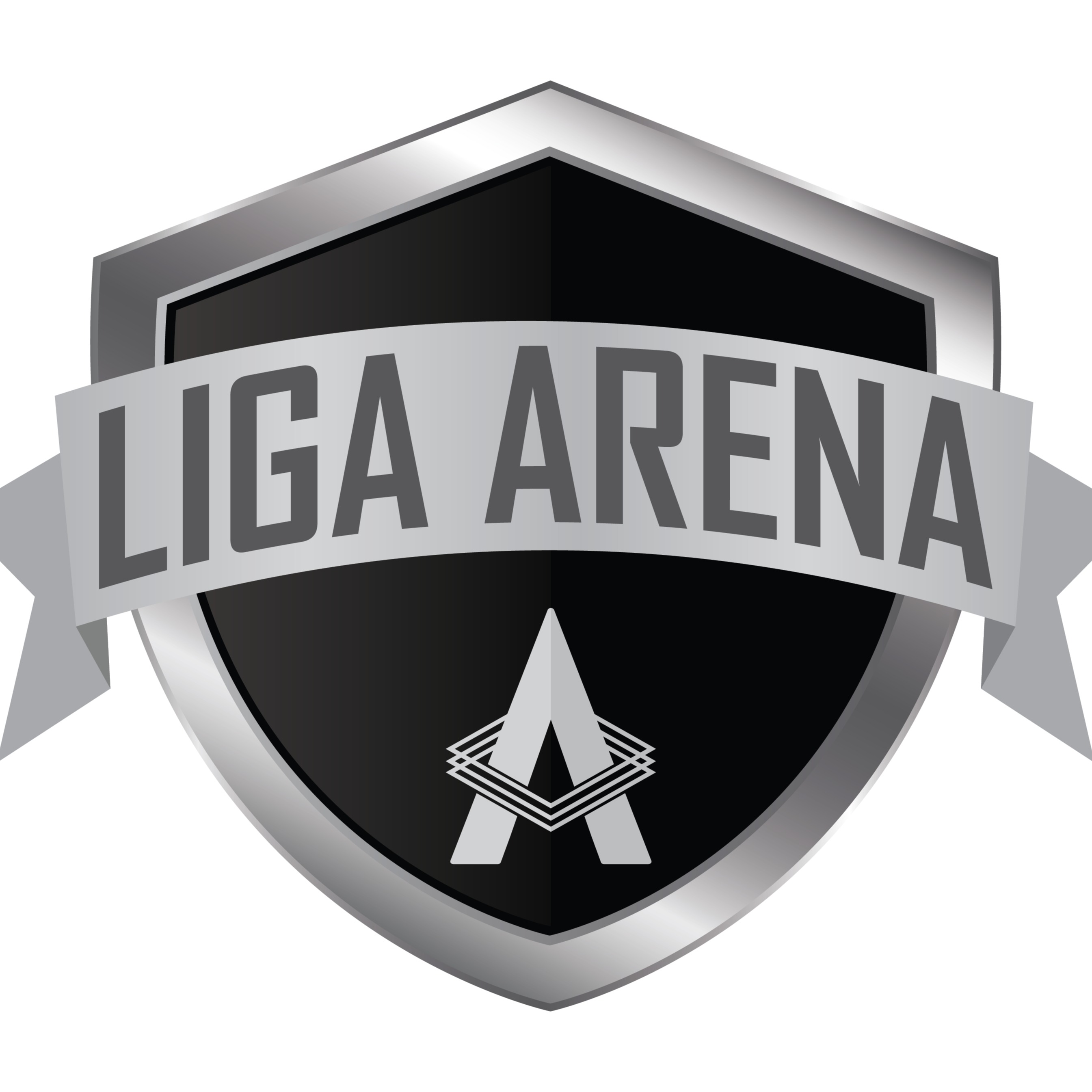 Liga Arena, Loja Online | Shopee Brasil