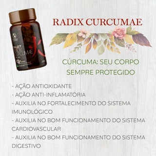 Cúrcuma MDT Radix Curcumae 60 capsulas 500mg - Maravilhas da Terra ...