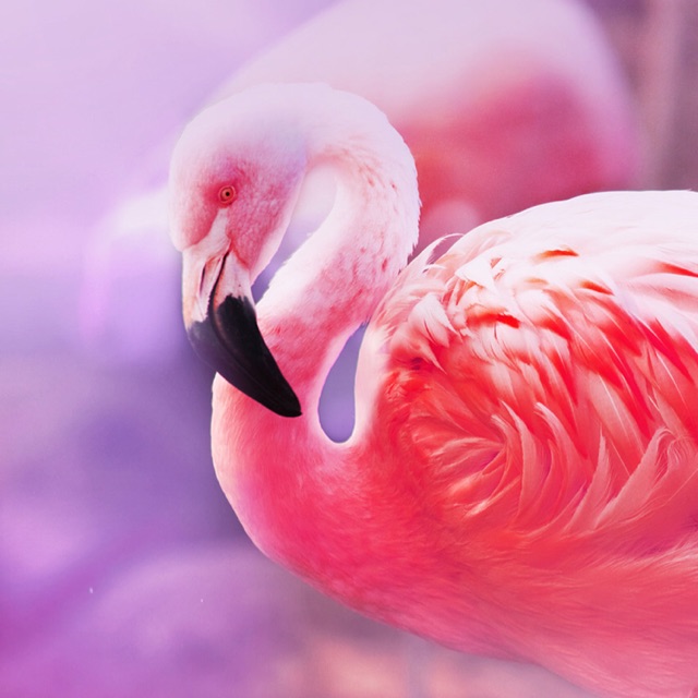 alonso_mari, Loja Online | Shopee Brasil