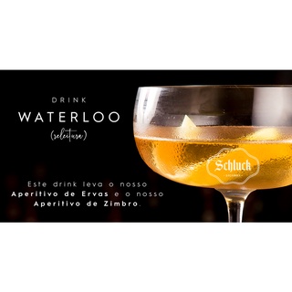 Aperitivo De Ervas Licor Digestivo Schluck Blumenau 250ml | Shopee Brasil