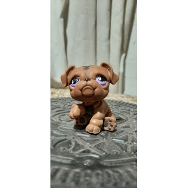 LPS 881 Bulldog | Shopee Brasil