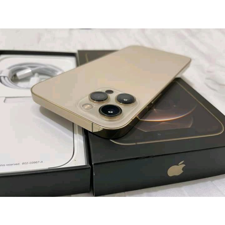 Apple iPhone 12 Pro Max - 256GB - Gold with warranty | Shopee Brasil