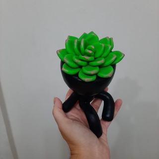 Boneco bob robert planta com suculenta em biscuit | Shopee Brasil