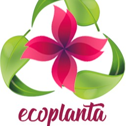 EcoPlanta, Loja Online | Shopee Brasil