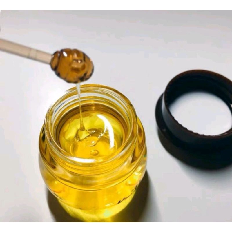 Gloss mel honey lip batom hidratante | Shopee Brasil